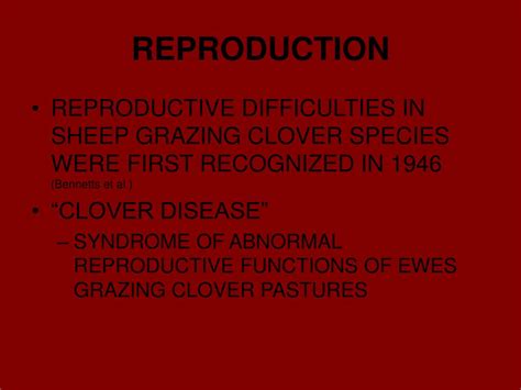 Ppt The Effects Of Dietary Clover Species On Reproduction In The Ewe