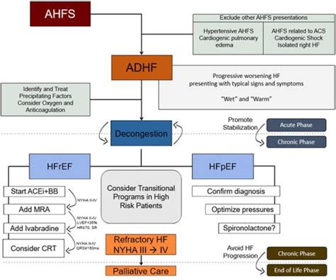 Acute Decompensated Heart Failure Adhf A Comprehensive Contemporary