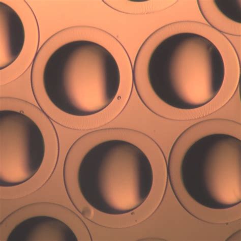 Production Of Core Shell Capsules For Encapsulating Hydrophobic Liquids