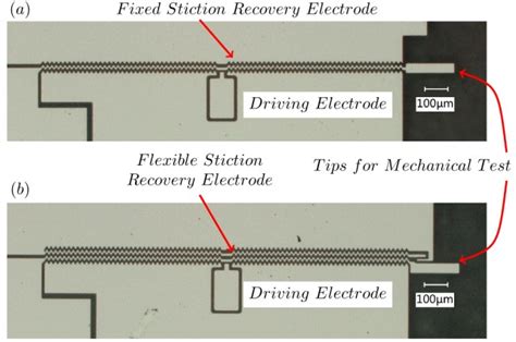 Figure 1 From A Restoring Force Boosting Structure With Flexible Stiction Recovery Electrode For