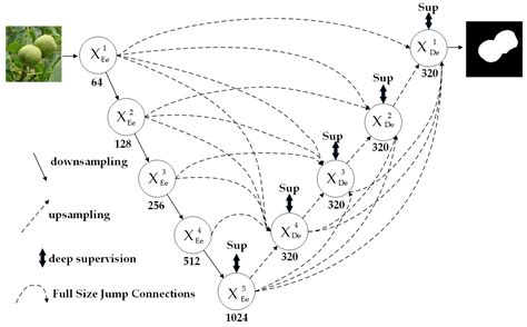 Improving Walnut Images Segmentation Using Modified Unet3 Algorithm