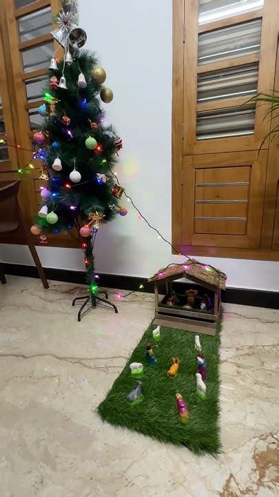 Christmas Celebration Begins 🎄🎄christmas Carol December Fyp Youtube