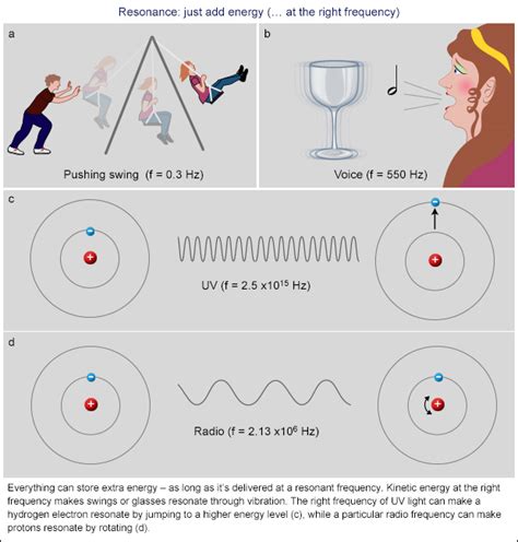 Resonance In Physics Examples