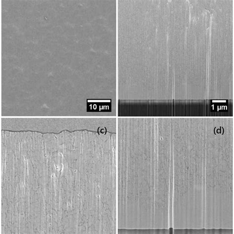 A Plan View And B Fib Prepared Cross Sectional Sem Micrographs Of