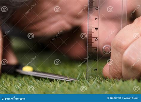 Man Using Measuring Scale While Cutting Grass Stock Image Image Of Leisure Measure 126297905