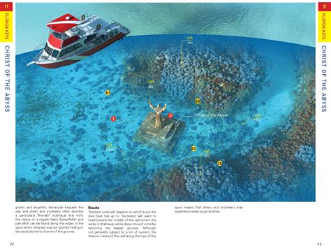 Order Your Copy Of Reef Smarts Florida Keys Guidebook Now Reef