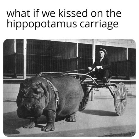 Scooby Dooby Dooby Doo Scrolller