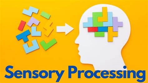Understanding Sensory Processing In Autism Insights And Strategies