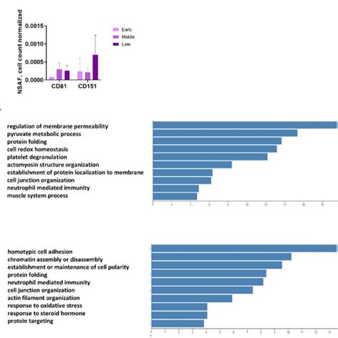 Unbiased Global Mass Spectrometry Of Cm And Evs A Mass Spectrometry