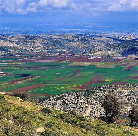 جنين للعقار والاستثمار On Reels Facebook