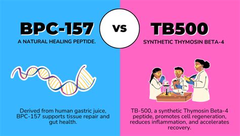 Bpc 157 Vs Tb 500 Understanding The Differences