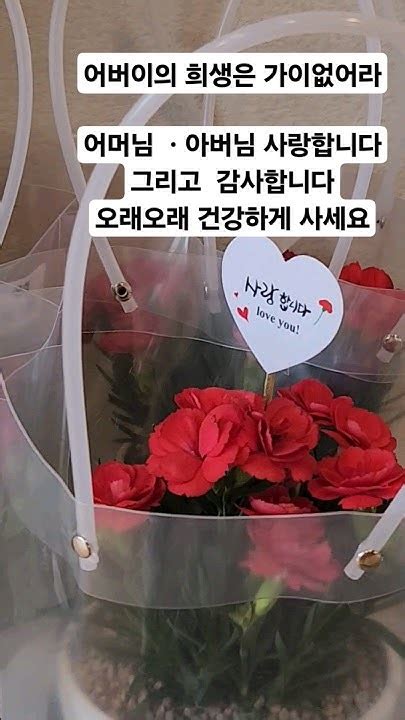 세상에서 가장 사랑하는어머님ㆍ아버님 어버이날을 축하드립니다 신수아 어버이은혜 어버이날 노래가좋아 쇼츠영상 어버이날선물