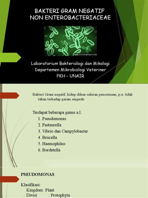 Bakteri Gram Negatif Non Enterobacteriaceae Pdf Sains And Matematika