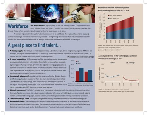 Solution Rio South Texas Workforce Brochure Studypool