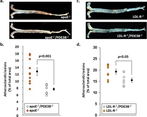 Phosphodiesterase 3b Pde3b Regulates Nlrp3 Inflammasome In Adipose