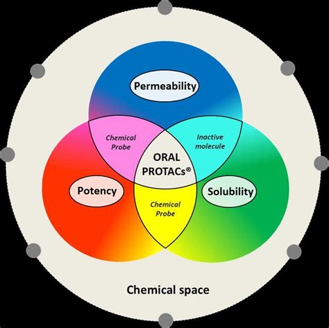 Subregions Of The Chemical Space Schematic Representation Download