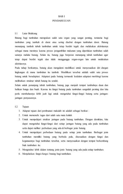 Botani Tanaman Saccharum Officinarum Tebu Morfologi Lengkap Tanaman