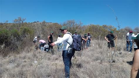 Liliana Tavarez On Linkedin Lpdc