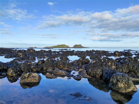 Walk Whelks Clams And Brittlestars Dirleton And Gullane Coastal