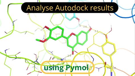 Autodock Result Protein Ligand Interaction Analysis Using Pymol Pymol