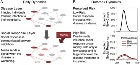 Overview Of Model Dynamics A Each Day Infection Spreads On The Download Scientific Diagram