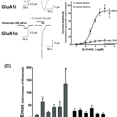 Glua1 Glua2 And Glua4 Subunits And Splice Variants Selectivity Of S