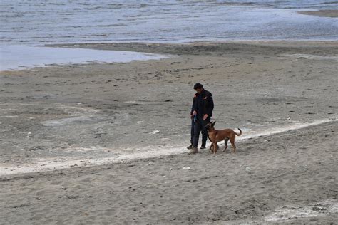 Rojin Için özel Ekip Kuruldu Sözcü