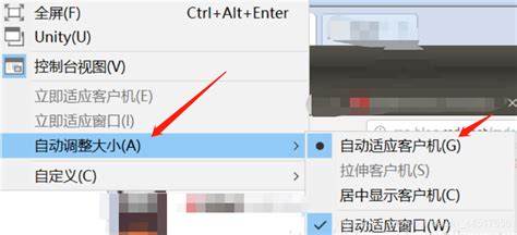Vmware软件虚拟机不能全屏 Csdn博客