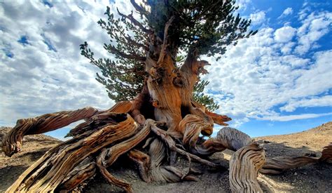 Hikes The Hobby Hiker