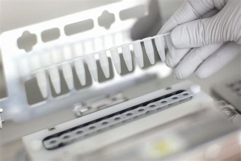 Gardskin Oecd Tg 442e Senzagen