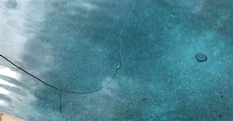 Pebble Tec Problems Solutions And What To Expect
