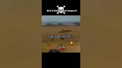 Bros Faster Than Leopard Troll Face Moment Before Disaster Edit Trollface Viralshorts