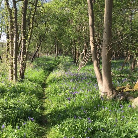 Wellbeing Retreats Susan Collini