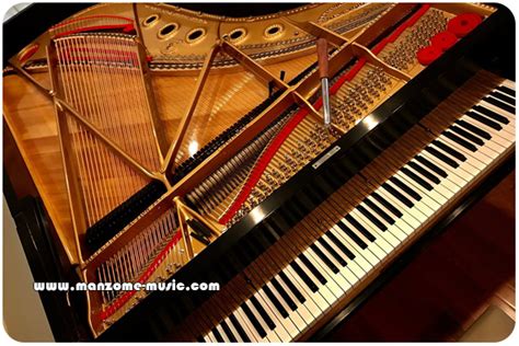 معرفی ساز پیانو آموزشگاه موسیقی منظومه