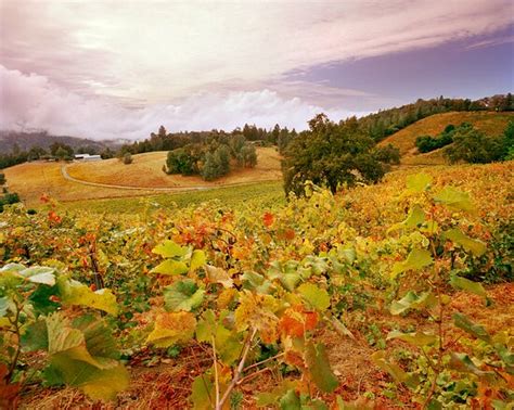 Placerville Pictures Traveler Photos Of Placerville Ca Tripadvisor