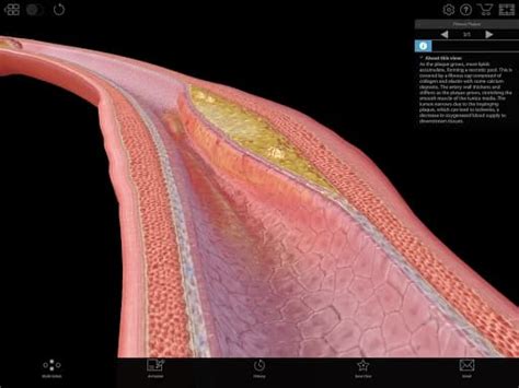 Physiology And Pathology Mod Apk Free Download Filecr