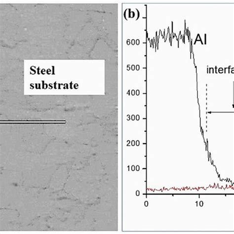 A Sem Image Of The Cross Section Of Steel Al Alloy Coating Interface Download Scientific