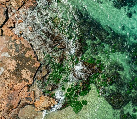 Venture Capital Cavari