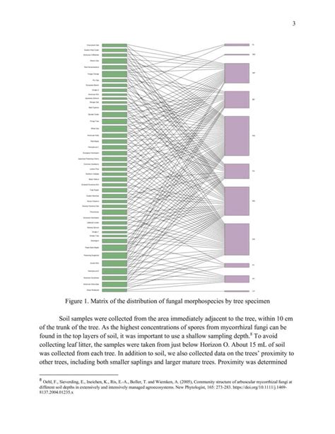 Tree Density And Fungal Diversity In Soil Washu Arboretum