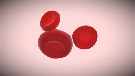 Microcytes Download Free 3d Model By Axonology 2a77f3d Sketchfab