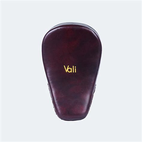 Lancer Long Focus Mitts For Mma Training Vali