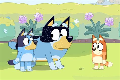 How To Watch Bluey How To Stream In Uk Radio Times