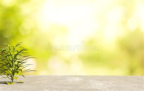 Grass Growing On Damaged Asphalt Pavement Ecology And Environment 3d