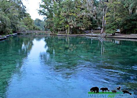 Wekiwa Springs State Park Imagine Our Florida Inc