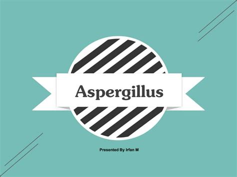 Introduction Classification Modes Of Reproduction Of Aspergillus