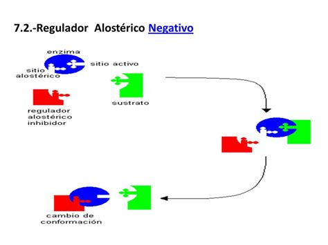 Bioquimica 2do AÑo Oficial Enzimas Coenzimas Y Vitaminas