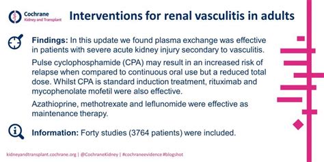 New Review Update Interventions For Renal Vasculitis In Adults