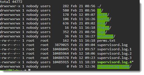 Support Binhex Jellyfin Docker Containers Unraid