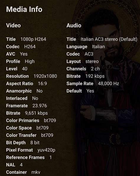 Bug When Casting From Chromecast On Recent Versions Android Emby Community