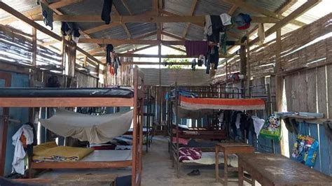 Cómo Preparar El ‘mostrito Peruano Con Pollo Broaster Y Chaufa Infobae